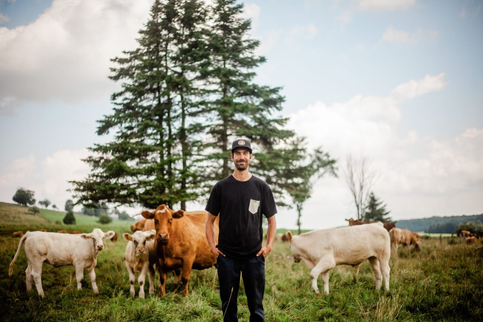 Automate your farm accounting • Aleop